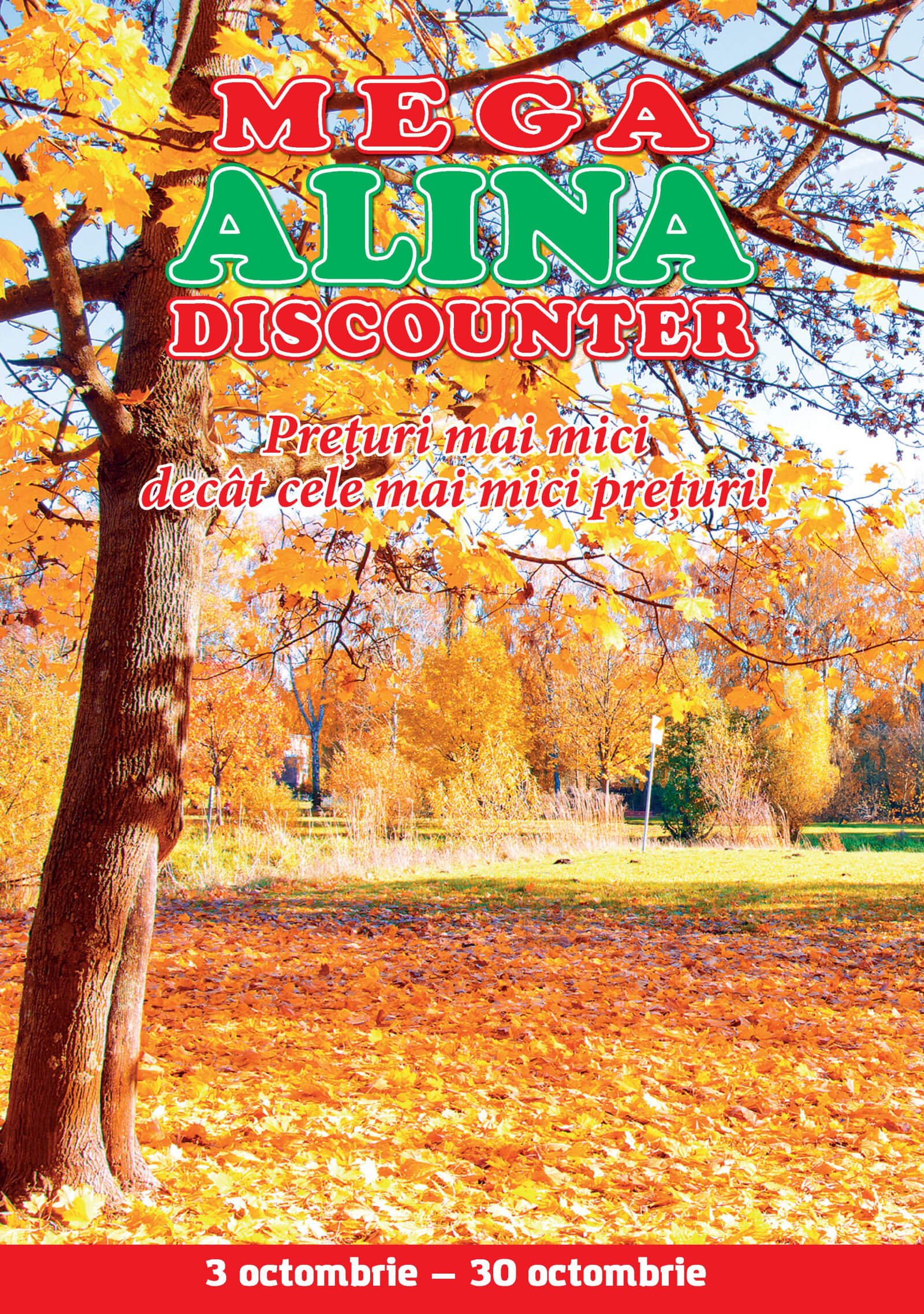 Catalog Mega Alina Discounter: Oferta lunii octombrie - reduceri Moldova