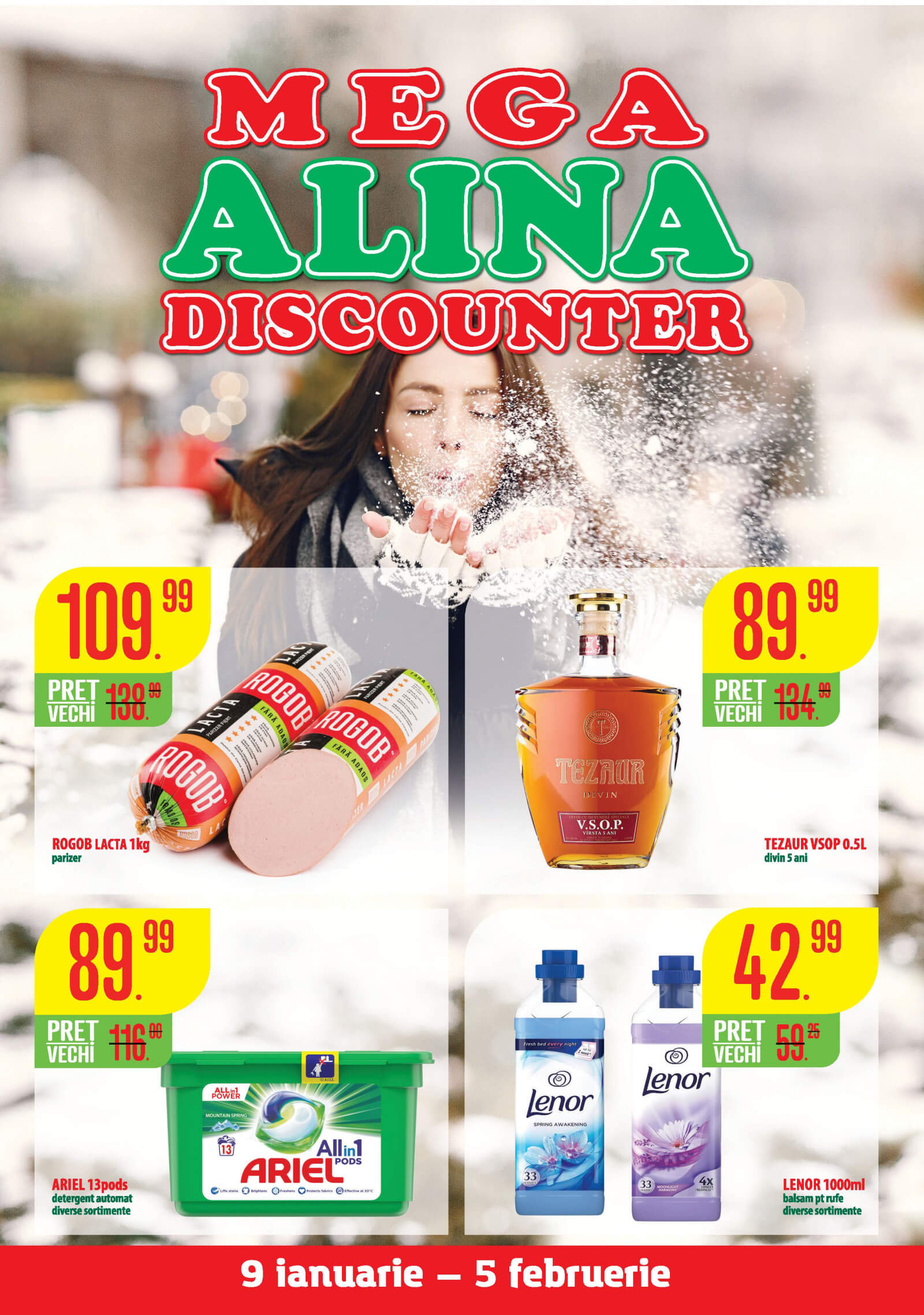 Catalog Mega Alina Discounter: Oferta lunii ianuarie - reduceri Moldova